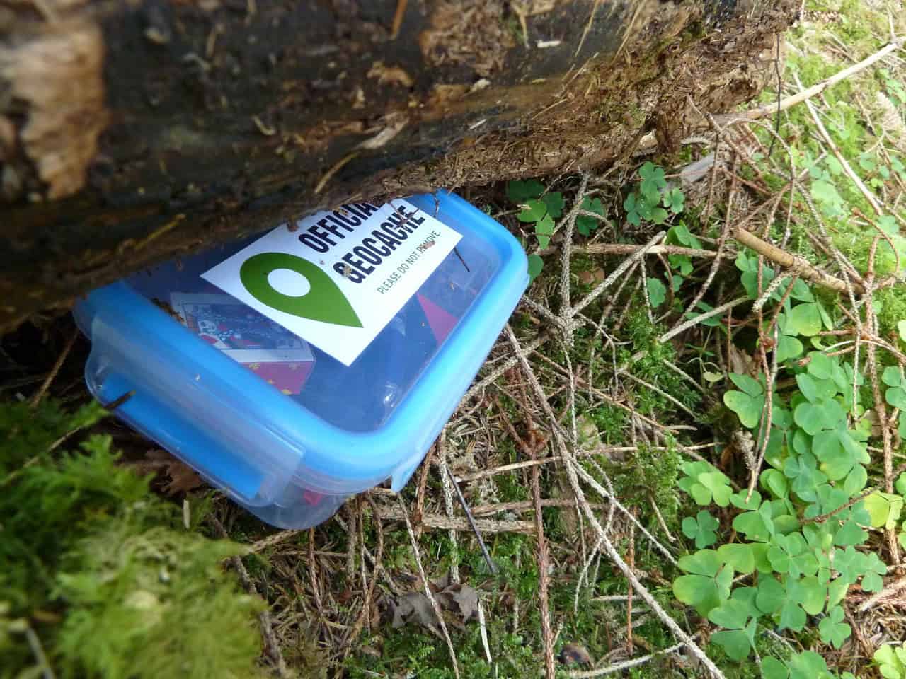 Geocaching: A Great Outdoor Activity • 2025