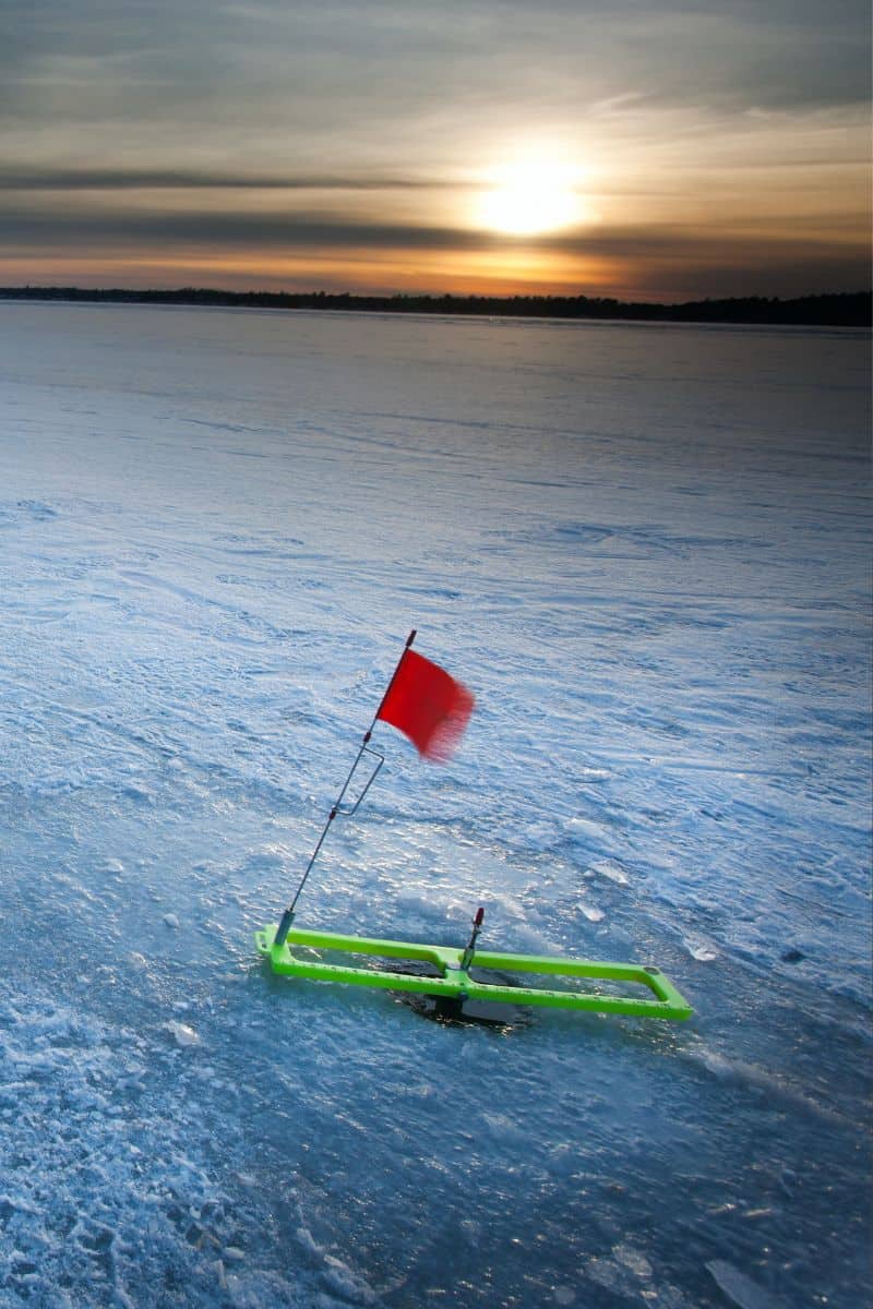How To Use Ice Fishing Tip Ups For A Successful Catch • 2026