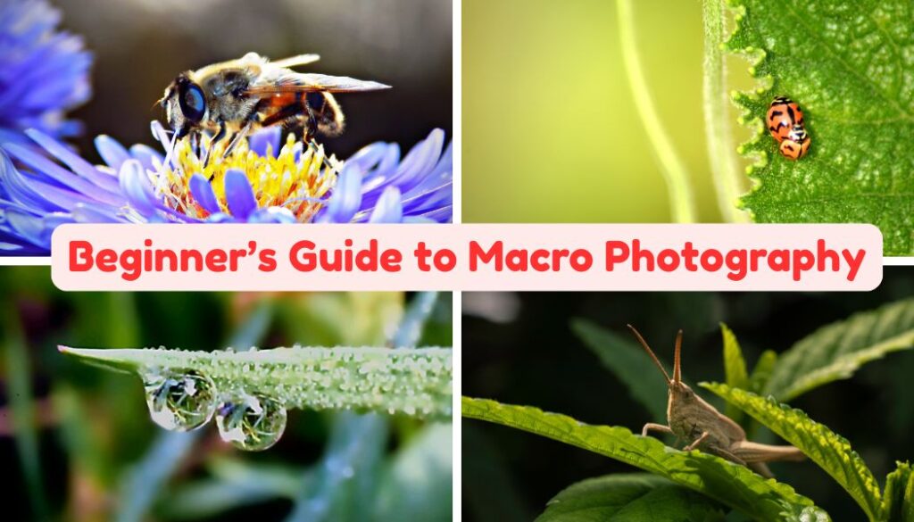 Mastering The Wild: Equipment For Outdoor Photography • 2026